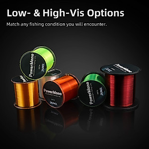 RUNCL PowerMono Fishing Line, Monofilament Fishing Line - Ultimate Strength, Shock Absorber, Suspend in Water, Knot Friendly - Mono Fishing Line (Clear, 6LB(2.7kgs), 300yds)