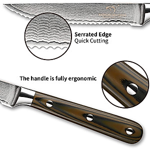 Damascus Serrated Steak Knife Set of 6 with Case, 5 Inch Serrated Steak Knife, 67 Layers Steel Blades Hand-sharpened to 15°, Non-slip G10 Ergonomic Triple Rivet Handle for Gift, Natural Wooden Box