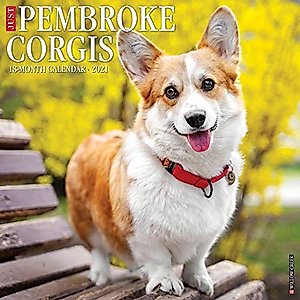 Just Pembroke Corgis 2021 Wall Calendar (Dog Breed Calendar)