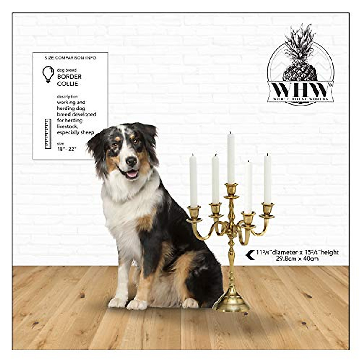 WHW Whole House Worlds Hamptons Five Candle Golden Candelabra, Hand Crafted of Cast Aluminum Nickel, Over 1 FT (15.75 Inches)