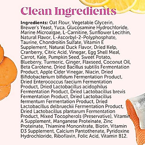 Pet Honesty Senior Dog Multivitamin - Essential Dog Vitamins and Supplements - Glucosamine, Probiotics, Omega Fish Oil for Dogs Health & Heart- Dogs Vitamins Health Supplies (Duck 90 ct)