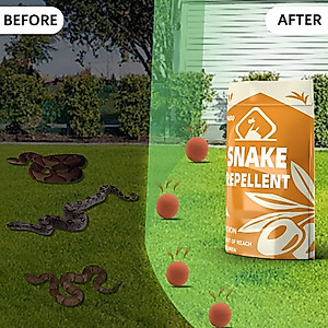 Pufado Snake Repellent for Yard Powerful, Keep Away Outdoors, Outdoors Pet Safe, Outdoor Repellant Home, Out Effectively- 10 Pack 45TRR