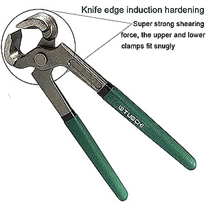 JIANLIAN Hoof Trimmers Goat Hoof Trimming Shears Nail Clippers Hoof Trimmer Pliers Stainless Steel Professional Livestock Nail Clippers Goat Hoof Trimmers Cutter