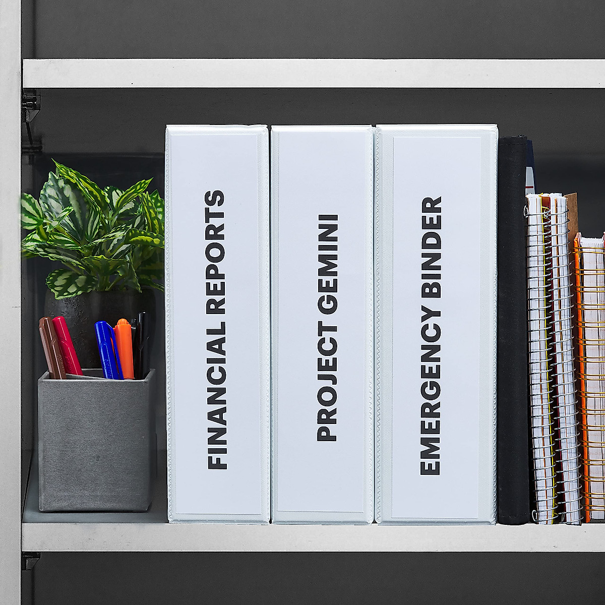 Avery Binder Spine Inserts, for 2 Inch Ring Binders with 2.8" Spine Width, 20 Cardstock View Binder Spine ID Inserts (89107)