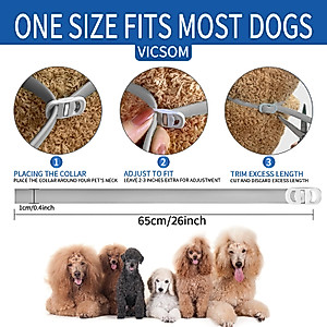 4 Pack Flea Collar for Dogs, Dog Flea and Tick Collar 8 Months Flea and Tick Prevention for Dog, Waterproof Adjustable Puppy Collar Natural Tick and Flea Collars for Small Medium Large Dogs, Grey