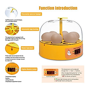 scientree Egg Incubator, 6 Eggs Poultry Hatching Machine with Automatic Egg Turning and Temperature Control, General Digital Incubators for Hatching Chicken Duck Goose Quail Birds Turkey Eggs