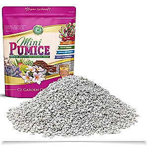 Pumice Stone Grow Media - Made in USA for Bonsai • Succulents • Cactus • Orchids - Horticultural Soil Amendment Additive Conditioner for Indoor and Outdoor Plants and Organic Gardens