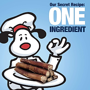 ValueBull Bully Sticks for Dogs, Medium 12 Inch, 50 Count - All Natural Dog Treats, 100% Beef Pizzles, Single Ingredient Rawhide Alternative