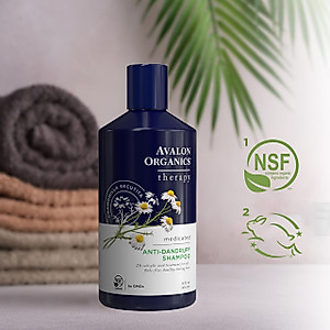 Avalon Organics Therapy Medicated Anti-Dandruff Shampoo for Soft, Flake-Free Hair, 14 Fluid Ounces
