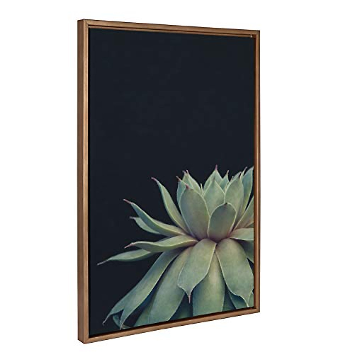 Kate and Laurel Sylvie Succulent Plant Framed Canvas Wall Art, Botanical Green with Black Background, 23x33 Gold