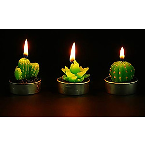 Lawei 18 Pack Cactus Tealight Candles - Handmade Delicate Succulent Mini Plants Candles - Perfect for Home Decor Candles Festival Wedding Props and House-Warming Party