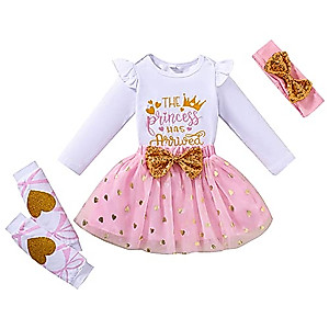 XIFAMNIY Baby Girls Princess Embroidery Pink Infant Newborn 3PCs Bodysuit Dress Tutu Skirt Coming Home Outfit Set for Fall and Spring
