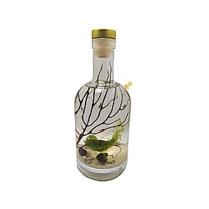 Enclosed Ecosystem Shrimps Bottle