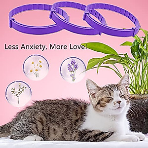 Wustentre 3 Pack Calming Collar for Cats, Cat Calming Collars, Cat Pheromones Calming Collar, Adjustable Cat Anxiety Collar for Cats and Kittens Stress Reliever Relaxing Comfortable Collar (Violet)