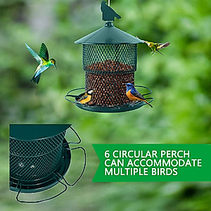 Metal Bird Feeders for Outside,Squirrel Proof Outdoors Hanging Bird Feeder, 7.4LB Capacity,6 Perches, Heavy Duty Mesh Birdfeeders for Cardinals, Finches-Green