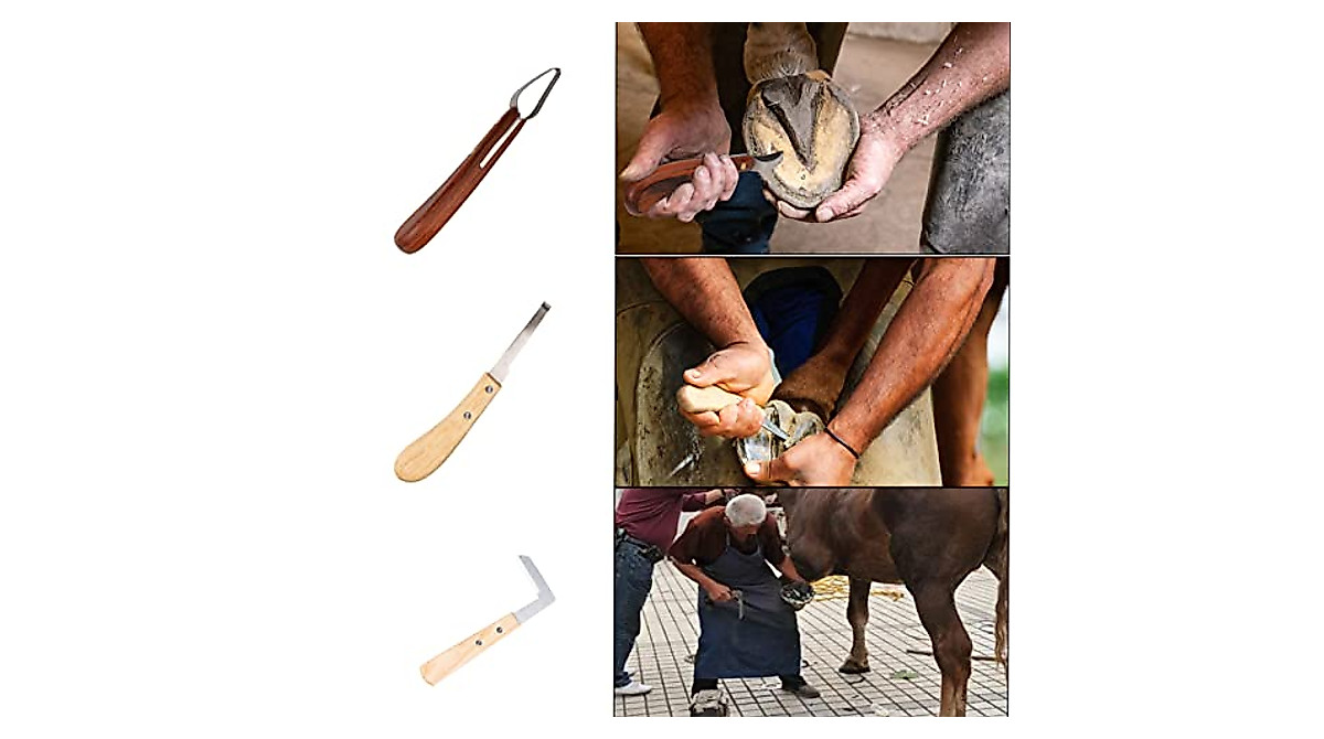 Capuca 64-Piece Farrier Tools Kit for Horse and Livestock Hoof Care