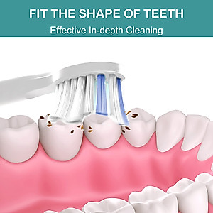 Water Flosser and Ultrasonic Electric Toothbrush Combo + 4 Pack Replacement Toothbrush Heads Compatible with ANWIEL