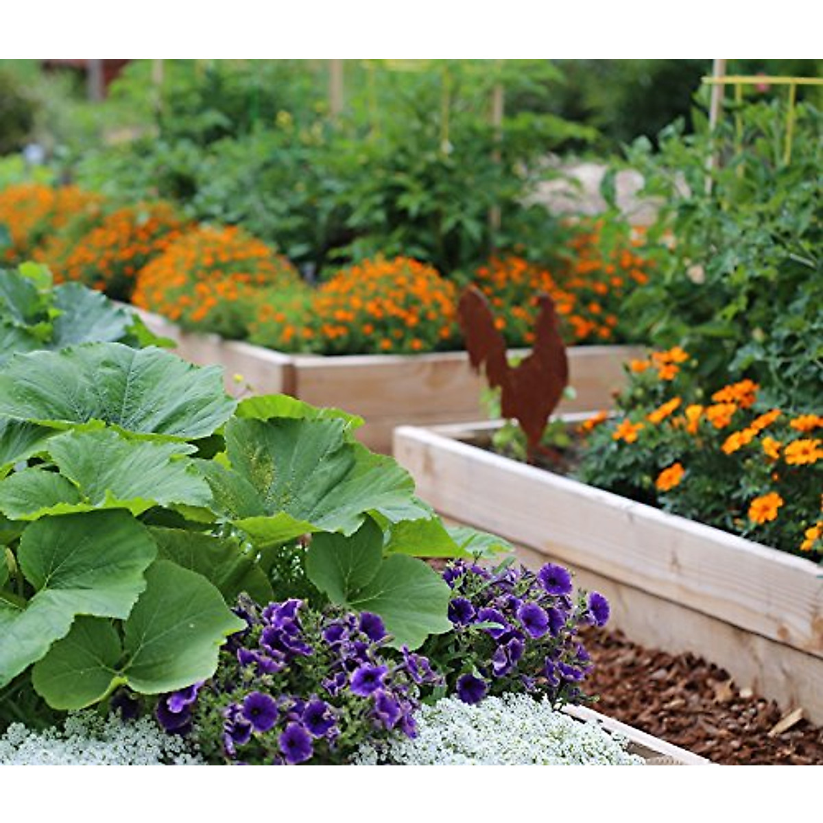 ECOgardener Premium 5oz Pro Garden Weed Barrier Landscape Fabric Durable & Heavy-Duty Weed Block Gardening Mat, Easy Setup & Superior Weed Control, Eco-Friendly & Convenient Design, 3ft x 50ft