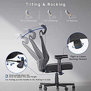 Dripex Ergonomic Office Chair, High Back Desk Chair, Computer Mesh Chair with Lumbar Support, Adjustable Headrest & 2D Armrest, 90°-135°Tilt Function, 360° Swivel Home Office Task Chair, Black