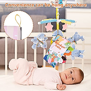 Vicloon Baby Books 0-6 Months, Soft Cloth Books Baby Books Bath Books, Infant Tummy Time Toys High Contrast Sensory Baby Toys Crinkle Squeaky Washable Chewable Non-Toxic Early Educational Book