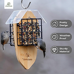 Kingsyard Double Suet Bird Feeder with Tail-Prop & Weatherproof Roof, Metal Cage Suet Feeders for Outside Hanging, Great for Woodpecker, Chickadee, Nuthatch
