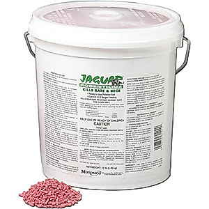 MOTOMCO D 31402 Jaguar Rodenticide Pail Pest Control