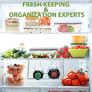 Vacuum Seal Storage Container Starter Kit (2L/half-gallon x1), with Handheld Automatic Pump & 6 Vacuum Bags, Vacuum Container for Food Storage, Airtight Food Preservation -BPA Free, Freezer Safe