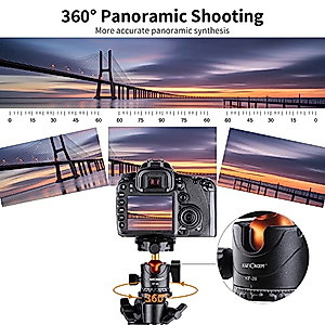 K&F Concept 78 inch DSLR Camera Tripods with Magnesium Alloy Rotatable Multi-Angle Center Column,Load Capacity up to 22lbs/10kg K234A7+BH-28L+Extension Arm Kits