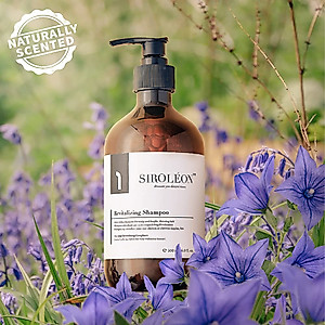 SIROLÉON Biotin Shampoo and Conditioner Set for Thinning Hair and Hair Loss, Hair Thickening Formula with Saw Palmetto Extract & Natural Smelling, For Men and Women, Silicon Free, 16.9 fl oz