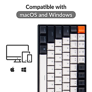 Keychron K2 75% Layout 84 Keys Hot-swappable Bluetooth Wireless/USB Wired Mechanical Keyboard for Mac with Gateron G Pro Blue Switch/Double-Shot Keycaps/White LED Backlit for Windows Version 2