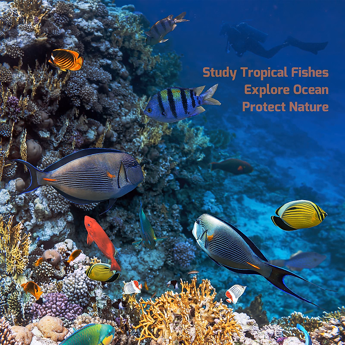 GobiDex Ocean Fish Dig Kit, Excavate 12 Sea Life Fish Toys, Science Kits for Kids Age 6-8-12, STEM Education Science Activities Toys, Great Gift for Boys & Girls Age 6+