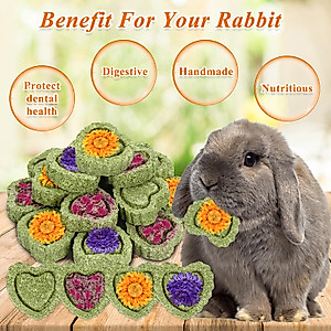 SYWHXY 20PCS Bunny Chew Toys, Rabbit Toys for Bunny's Teeth Organic Timothy Hay Cakes for Rabbits, Chinchilla, Hamster, Guinea Pig Reliable Rabbit Chew Toys for Teeth