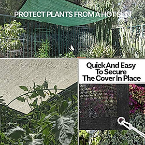 Alion Home HDPE 60% Sun Block Garden Netting Mesh for Plants Protecting - Beige (1, 10' x 14')