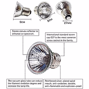 25W UVA UVB Reptile Light 25 Watt UVB Light UVA Bulb Halogen Basking Bulb Full Spectrum Reptilian Lamp Lizard Lamps for Turtle Aquarium Aquatic Reptile Lizard Habitat,E27/E26 Base,110V,6 Pack