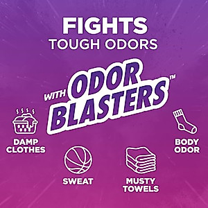 Arm & Hammer Odor Blaster In-Wash Scent Booster - Fresh Burst, 24 oz, Pack of 4