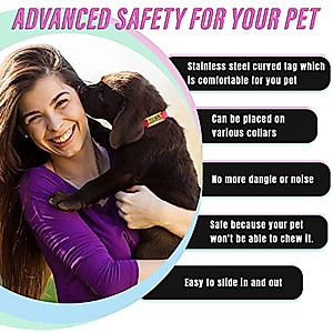 Slide-On Pet ID Tags - S/M/L/XL Personalized Dog and Cat Tags, Silent, No Noise Collar Tags Made of Stainless Steel, Large-fits 1 inch Collars, Custom Engraved Dog Name Tags