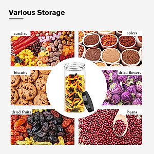SLifeJars Plastic Jar with Lids 16oz Clear Empty Containers 16Pcs Straight Cylinders Storage Jars with Airtight Black Lid Stackable Refillable Round Plastic Jars for Kitchen Food & Home Storage