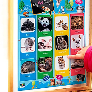 Dealing in Feeling Chart -Autism Learning Materials That can be Used with The Zones or as a Kids Poster for Emotional Regulation-Feelings Check-in Emotions Poster