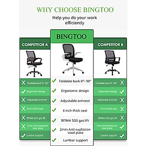 BINGTOO Ergonomic Office Chair with Lumbar Support, Foldable Mesh Backrest Computer Desk Chair for Home Office - Adjustable Height with Flip-up Arms and Wheels (Black)