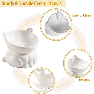 Elevated Cat Bowls, 15° Tilted Raised Cat Food Bowl Anti-Vomiting,Whisker Friendly, Cat Dishes for Protecting Spine (White)