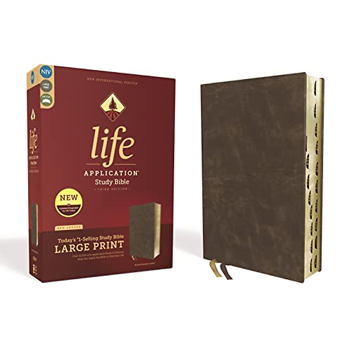 NIV, Life Application Study Bible, Third Edition, Large Print, Bonded Leather, Brown, Red Letter, Thumb Indexed