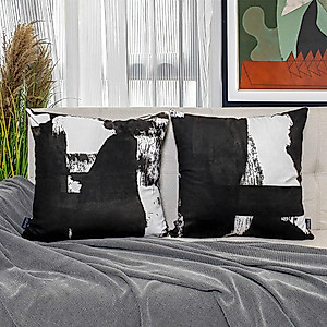 Vineland Throw Pillow Covers Set Black and White Abstract Farmhouse Cushion Case 18 x 18 Inch, Double-Sided Printing, Square Decorative Pillowcase for Home Car Sofa Decor