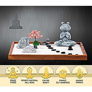 Zen Garden for Desk Jardin Zen Garden Kit Min Zen Garden Accessories Frog-Shaped 14 x 10 inch