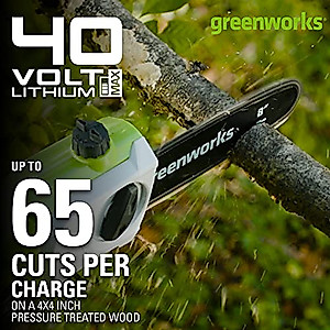 Greenworks 40V 8-inch Cordless Pole Saw with Hedge Trimmer Attachment 2.0Ah Battery and Charger Included, PSPH40B210