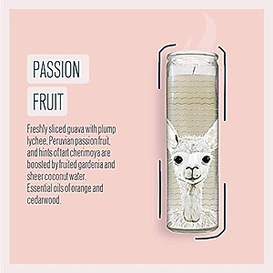 Scented Cathedral Candle by Studio Oh! - 13-Ounce Soy-Blend Wax Pillar Candle in Decorative Glass Container - Passion Fruit - Burns up to 115 Hours