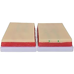 2 Pack Venipuncture IV Injection Training Pad Model, Silicone Human Skin Suture Training Model, Injection Practice Pad，4 Veins Imbedded, 3 Skin Layers