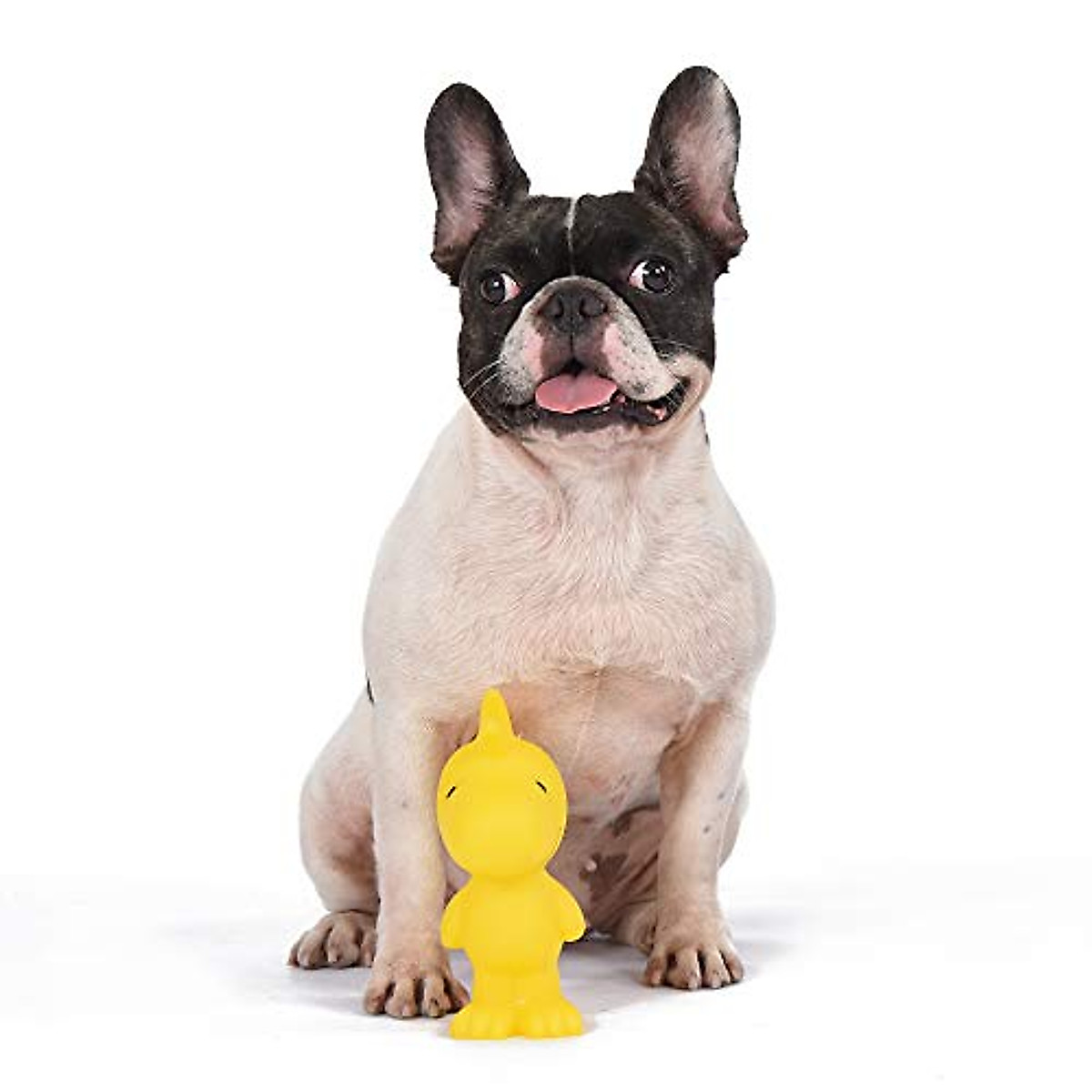 Peanuts for Pets Charlie Brown Woodstock Vinyl Squeaker Dog Toy | Squeaky Dog Toy for All Dogs | Charlie Brown Plastic Dog Toys for Aggressive Chewers - Fun and Cute Yellow Dog Chew Toy