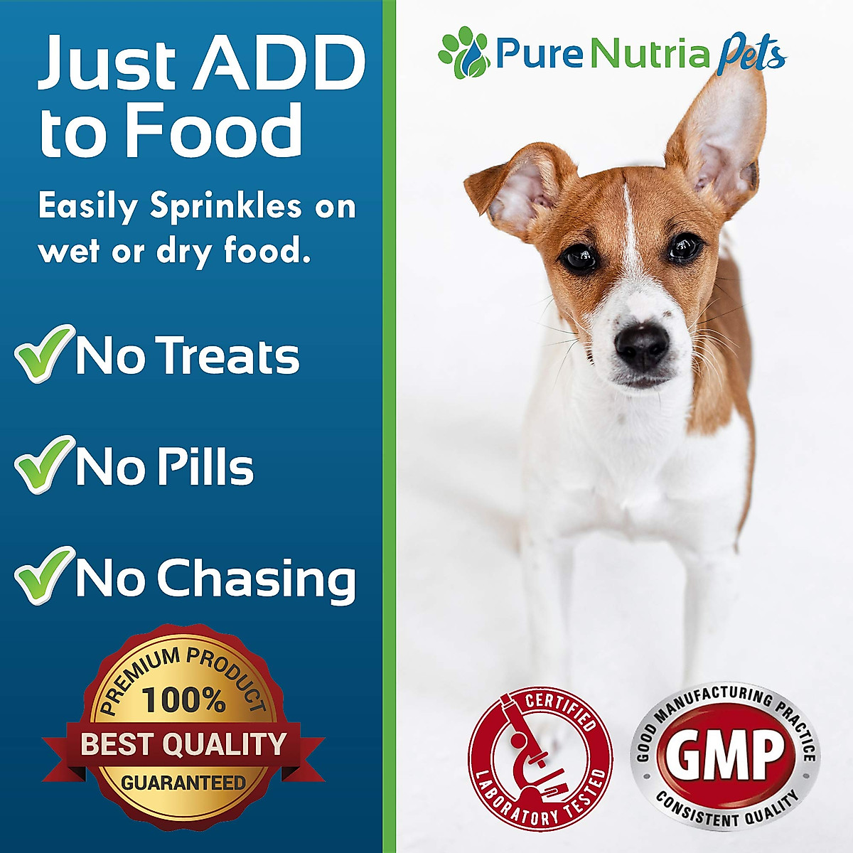PureNutria Dog Probiotics Dog Supplements - for Dog Diarrhea, Upset Stomachs, Yeast, Gas, Dog Allergy and Dog Immune System Support - Made in USA - 12 Targeted Strains 5 Billion CFU - 120 Scoops