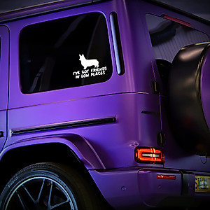 Friends in Low Places Corgi Decal Vinyl Sticker Auto Car Truck Wall Laptop | White | 5.5" x 3"