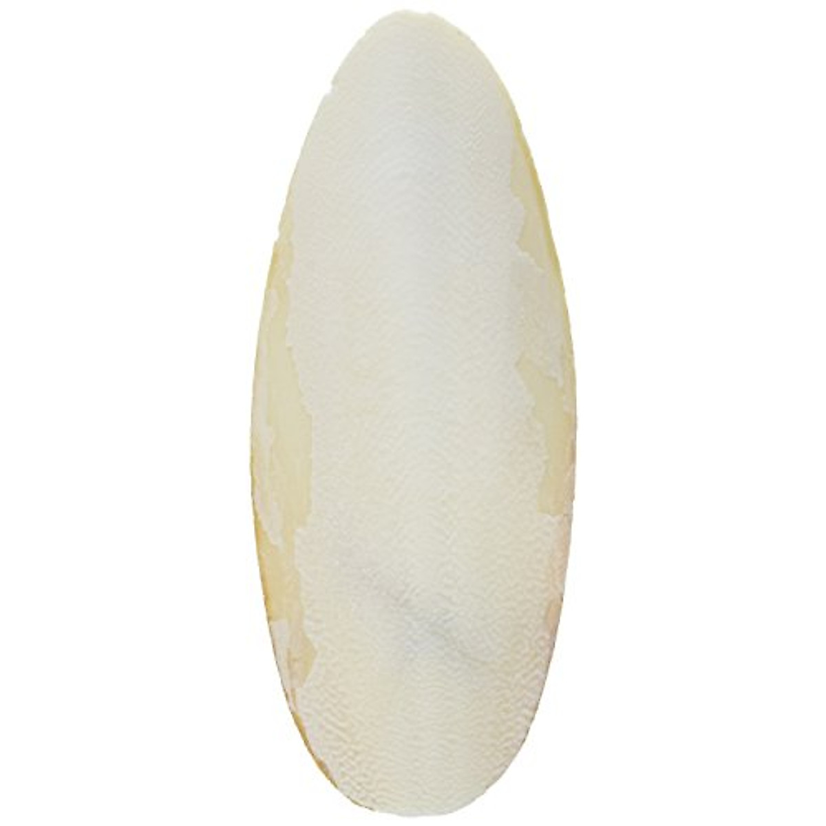 Prevue Pet Products Bpv11465 5-Inch Bird Cuttlebone Box, Medium, 5-Pound